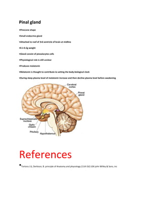 Endocrine System.docx