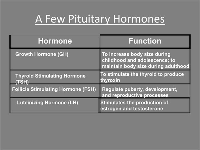Endocrine System.ppt | Thyroid Disorders | Endocrine and Metabolic Diseases