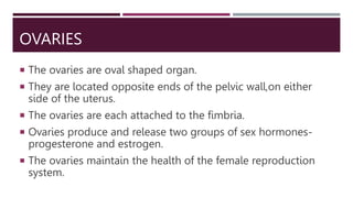 Endocrine system.pptx | Thyroid Disorders | Endocrine and Metabolic ...