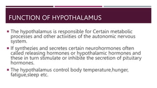Endocrine system.pptx