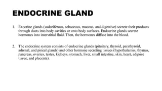 ENDOCRINE SYSTEM.pptx | Endocrine and Metabolic Diseases | Diseases and ...