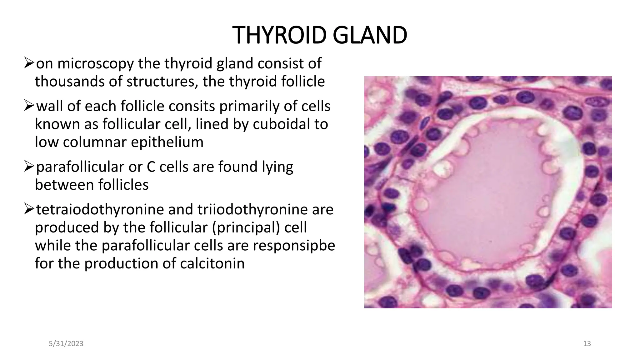 The Endocrine System .The endocrine system is made up of glands that ...