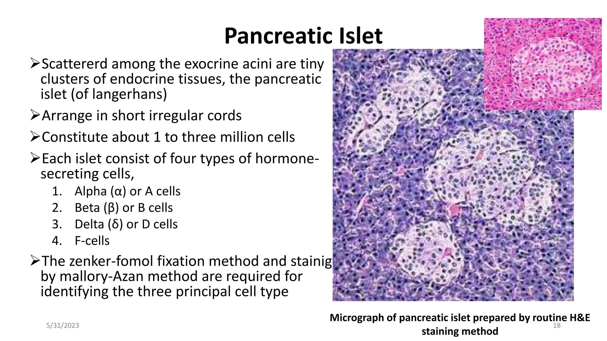 The Endocrine System .The endocrine system is made up of glands that ...