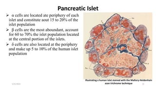 The Endocrine System .The endocrine system is made up of glands that ...