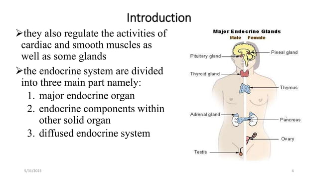 The Endocrine System .The endocrine system is made up of glands that make hormones. Hormones are ...