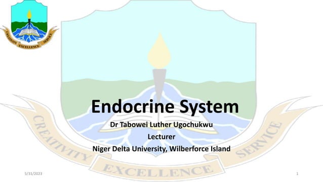 The Endocrine System .The endocrine system is made up of glands that ...