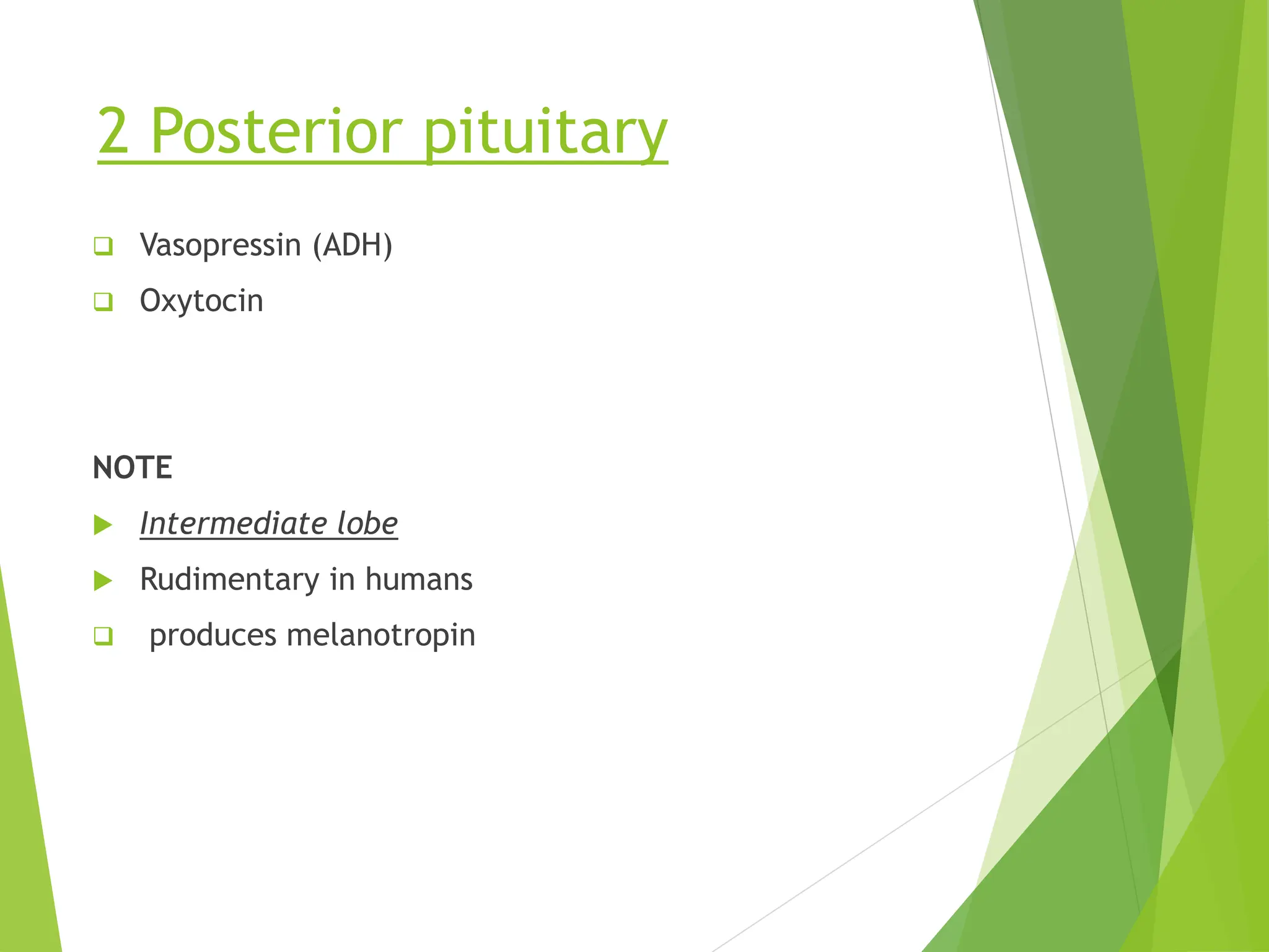 Endocrine system, pathophysiology, with it's management | PPTX