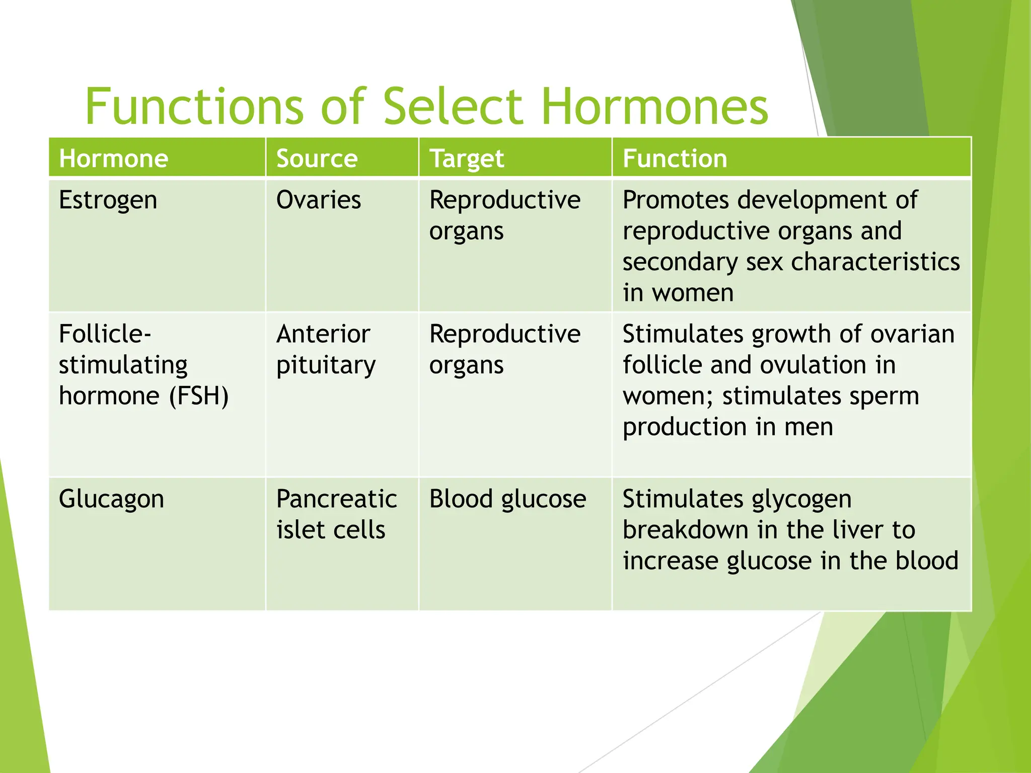 Endocrine system, pathophysiology, with it's management | PPTX