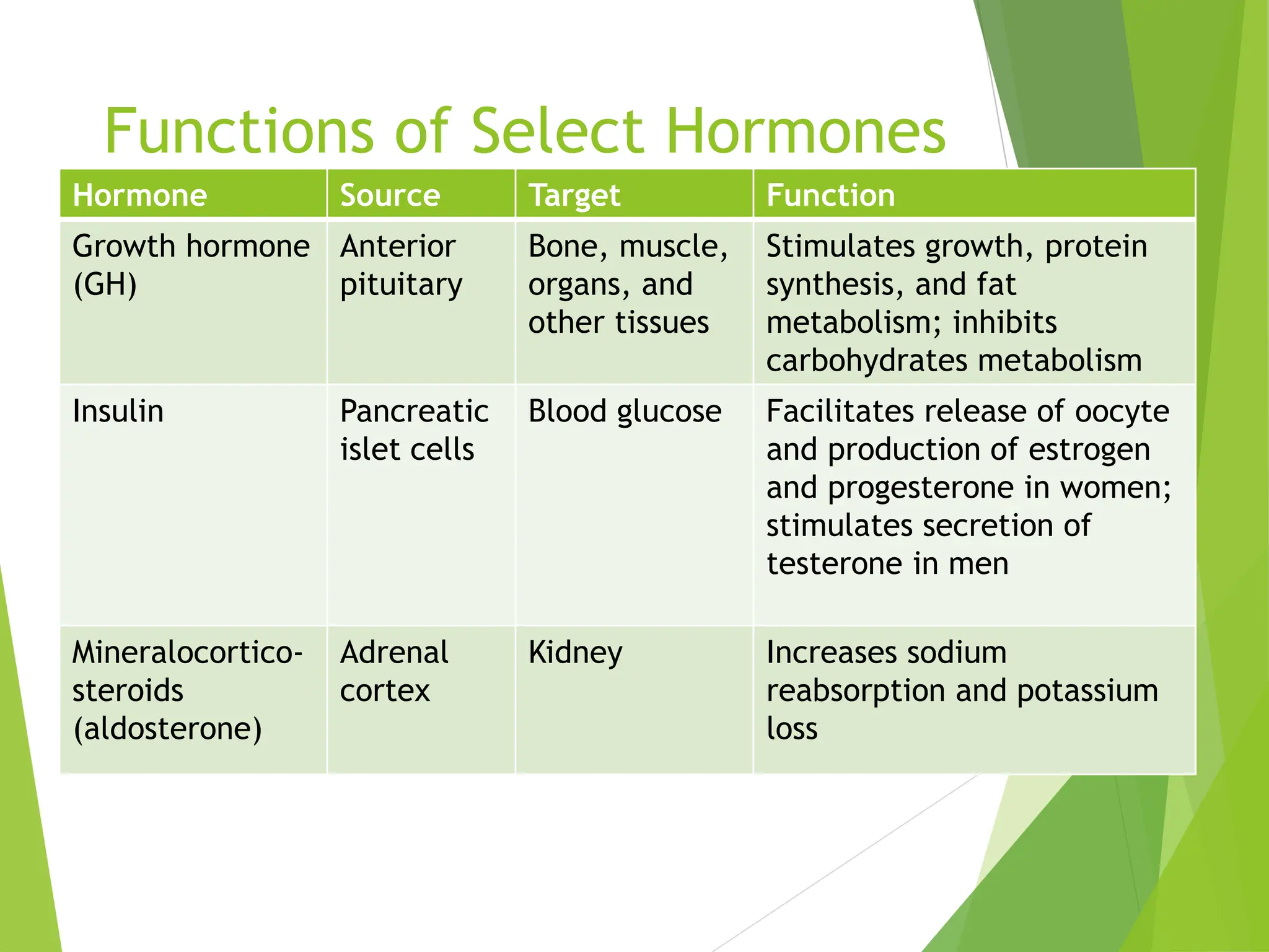 Endocrine system, pathophysiology, with it's management | PPTX