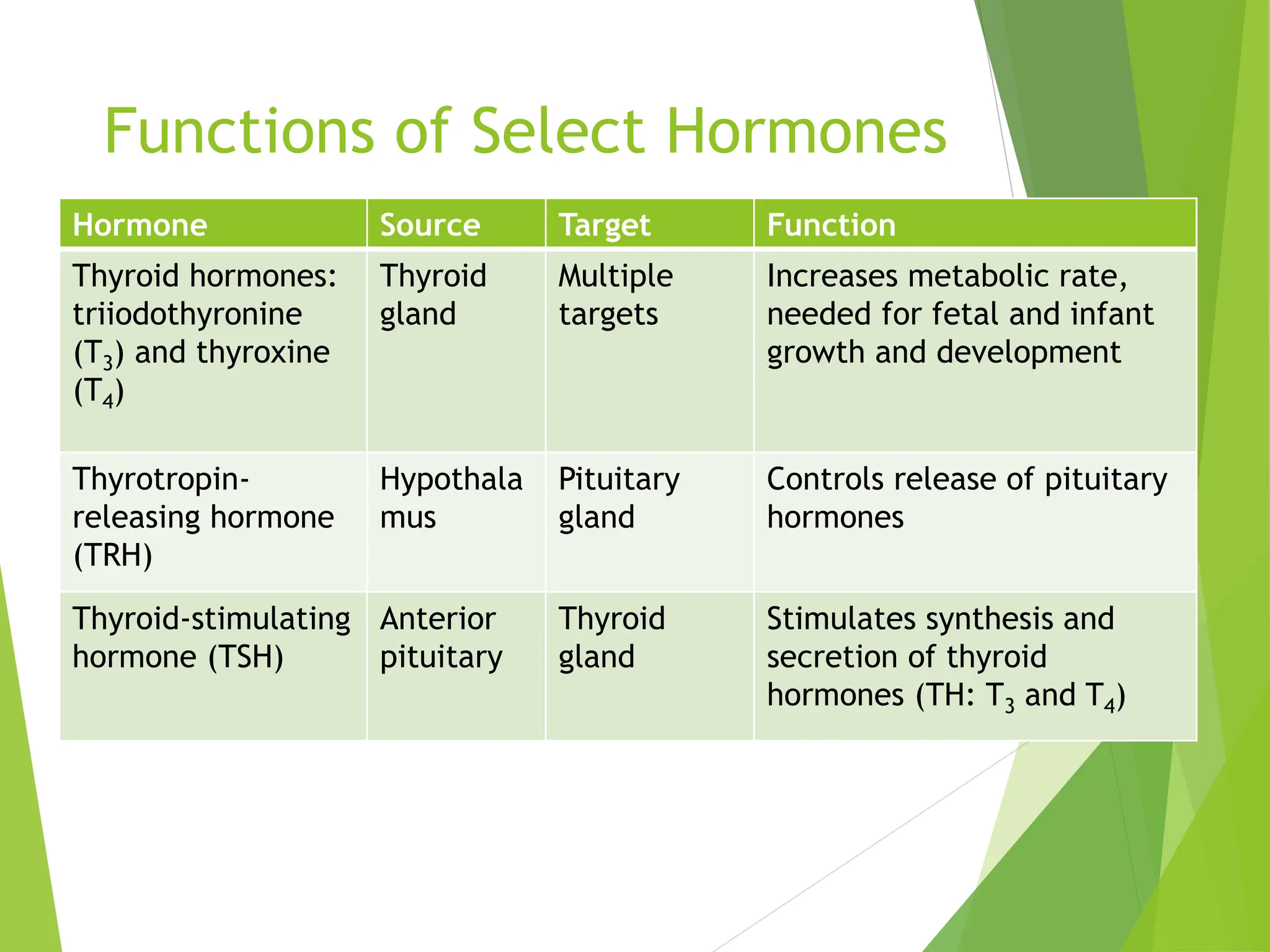 Endocrine system, pathophysiology, with it's management | PPTX