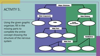 Quarter 3 science 10 Module 2 Endocrine system.pptx