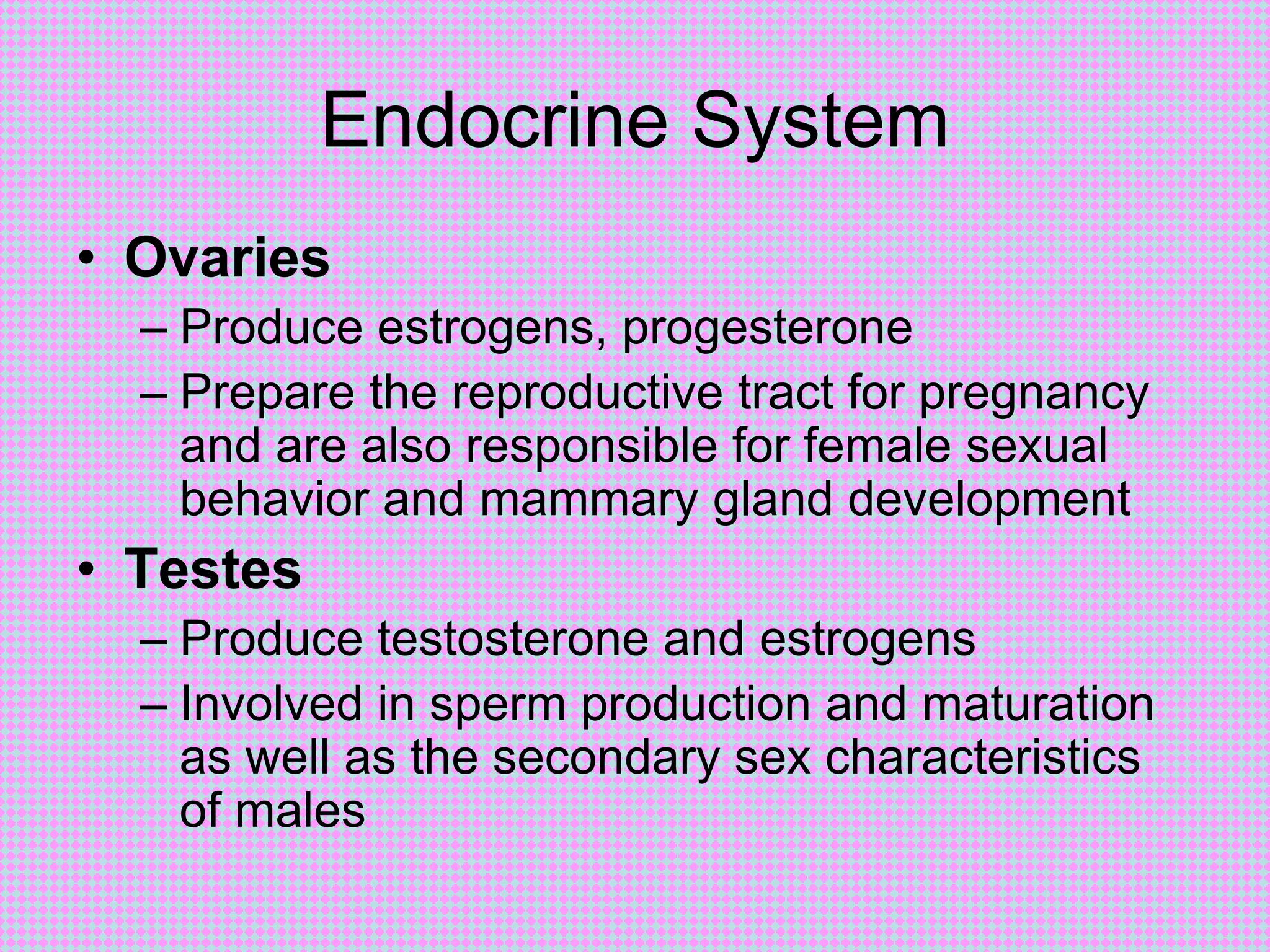 Endocrine System presentation general.ppt