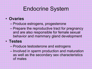 Endocrine System presentation general.ppt