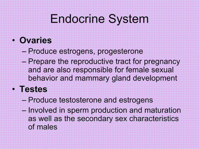 Endocrine System presentation general.ppt | Thyroid Disorders ...