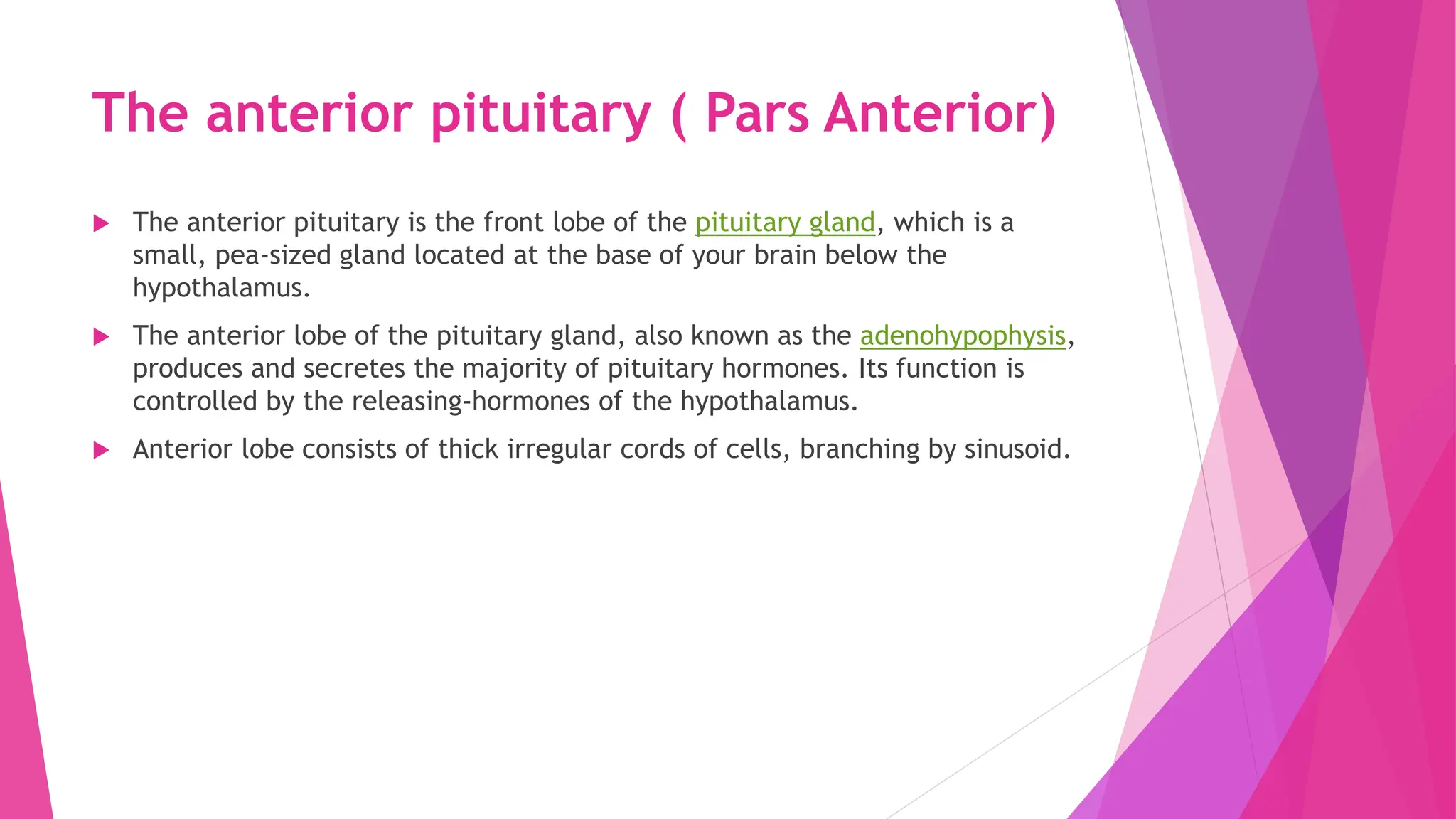Anatomy & Physiology of Endocrine System.pptx