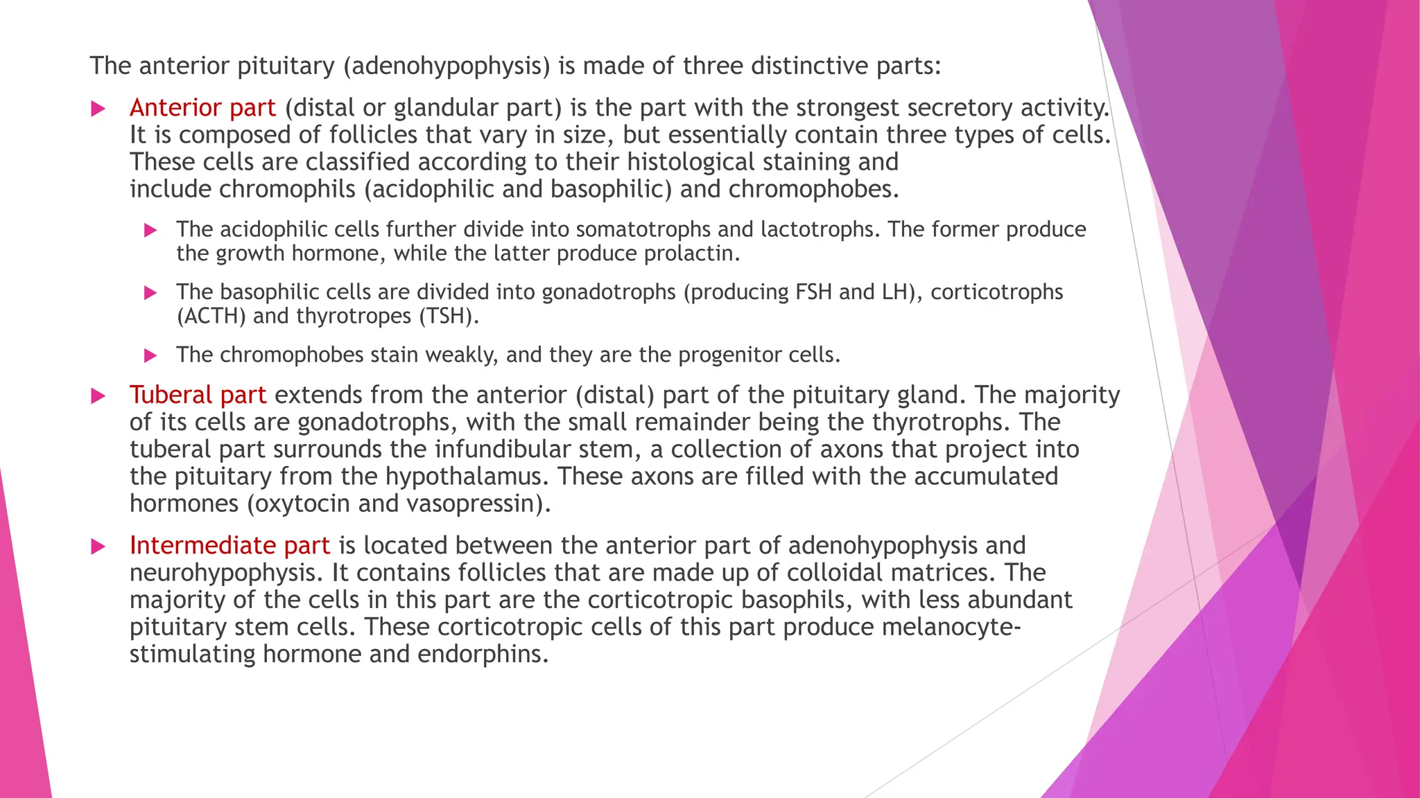 Anatomy & Physiology of Endocrine System.pptx