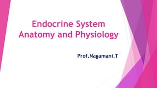 Anatomy & Physiology of Endocrine System.pptx