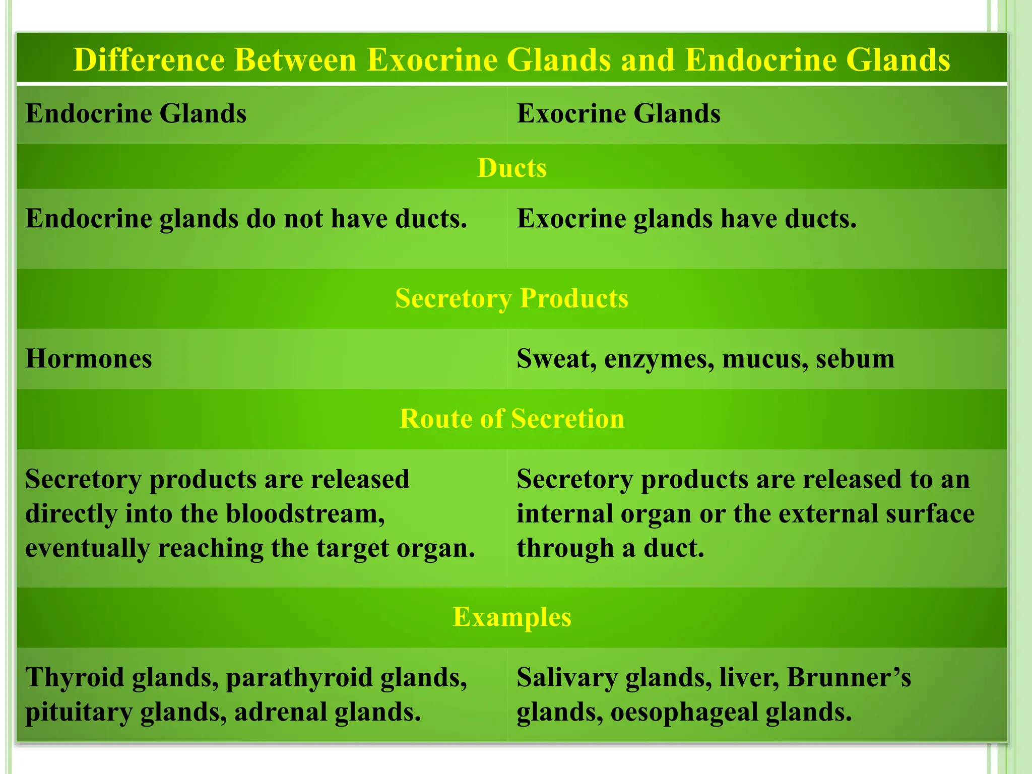 Endocrine system human anatomy and physiology | PPTX