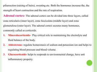 Endocrine system human anatomy and physiology | PPTX