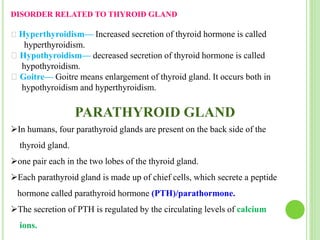 Endocrine system human anatomy and physiology | PPTX