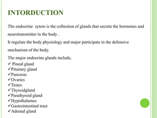 Endocrine system human anatomy and physiology | PPTX