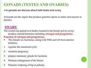 Endocrine system human anatomy and physiology | PPTX