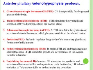 Endocrine system human anatomy and physiology | PPTX