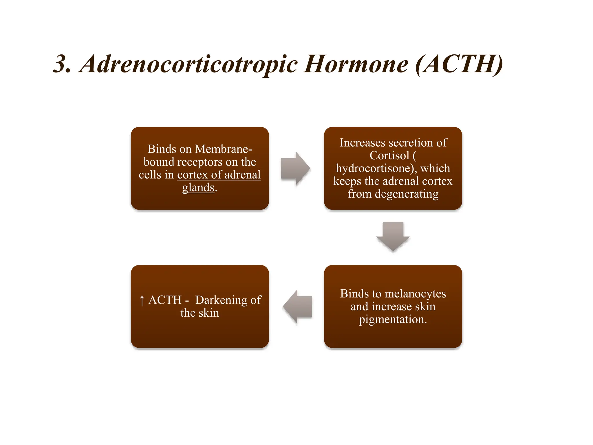 Endocrine system, its classification, chemical signals, receptors ...