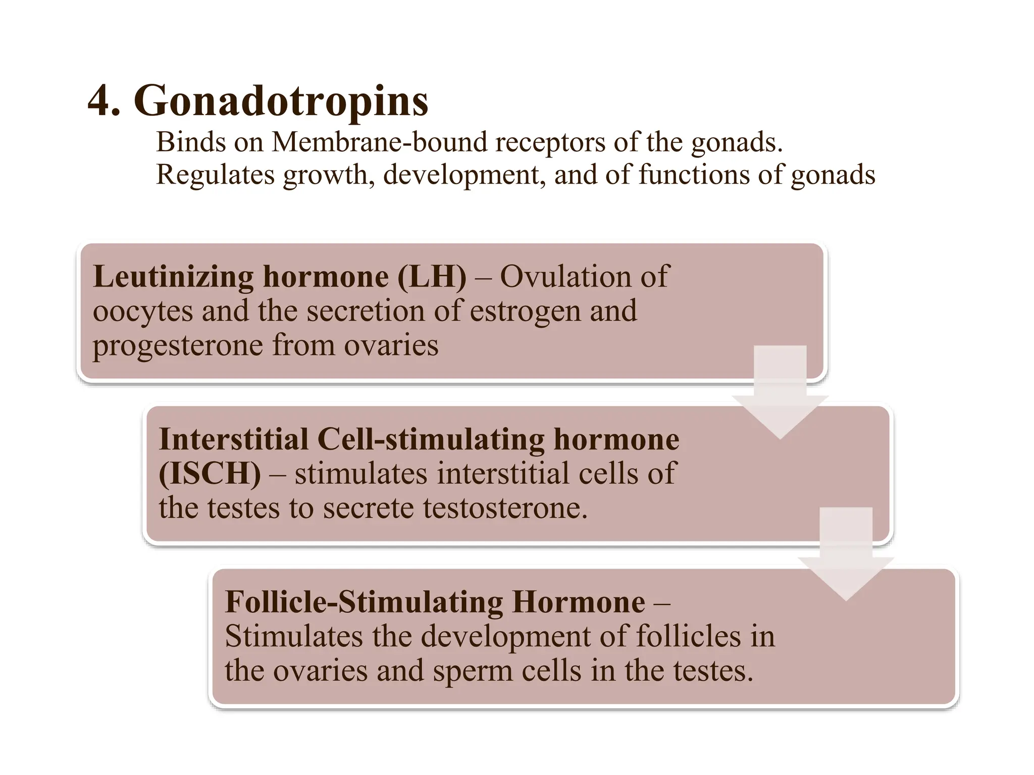 Endocrine system, its classification, chemical signals, receptors ...