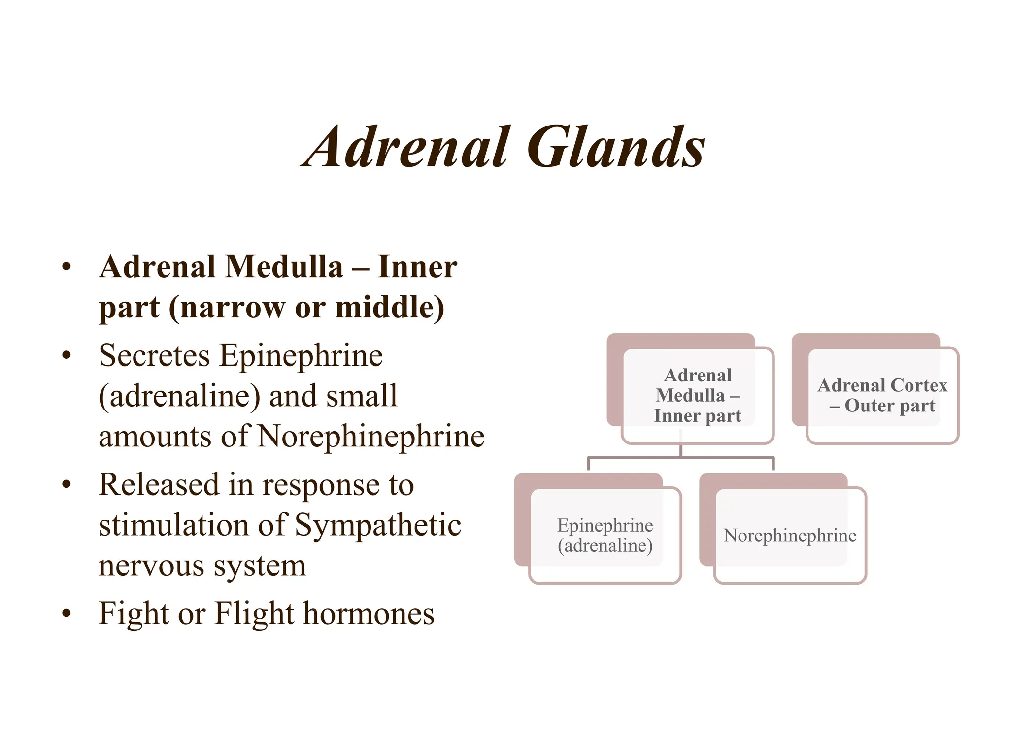 Endocrine system, its classification, chemical signals, receptors ...