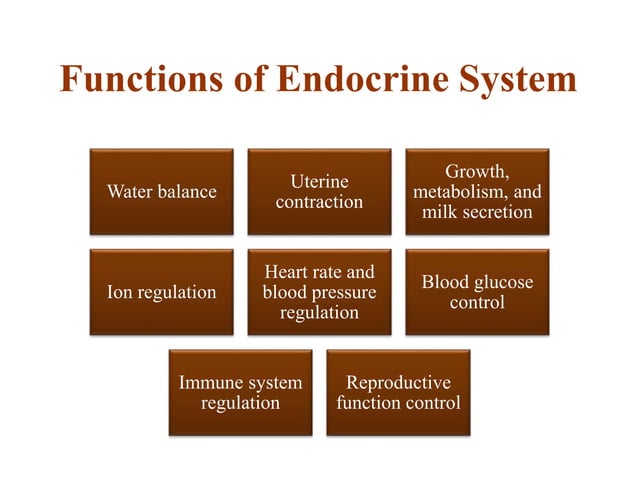 Endocrine system, its classification, chemical signals, receptors ...