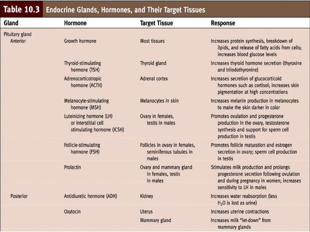 Endocrine system, its classification, chemical signals, receptors ...