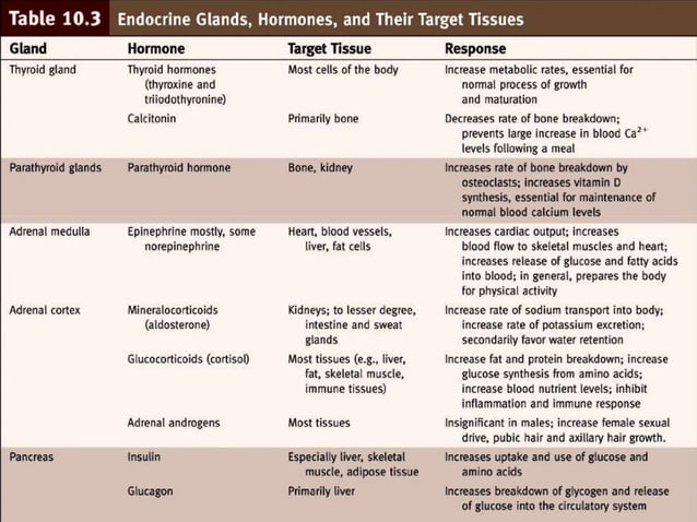 Endocrine system, its classification, chemical signals, receptors ...