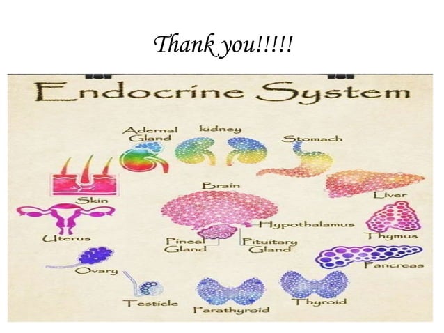 Endocrine System. Endocrine glands , types,hormone and functions | PPT