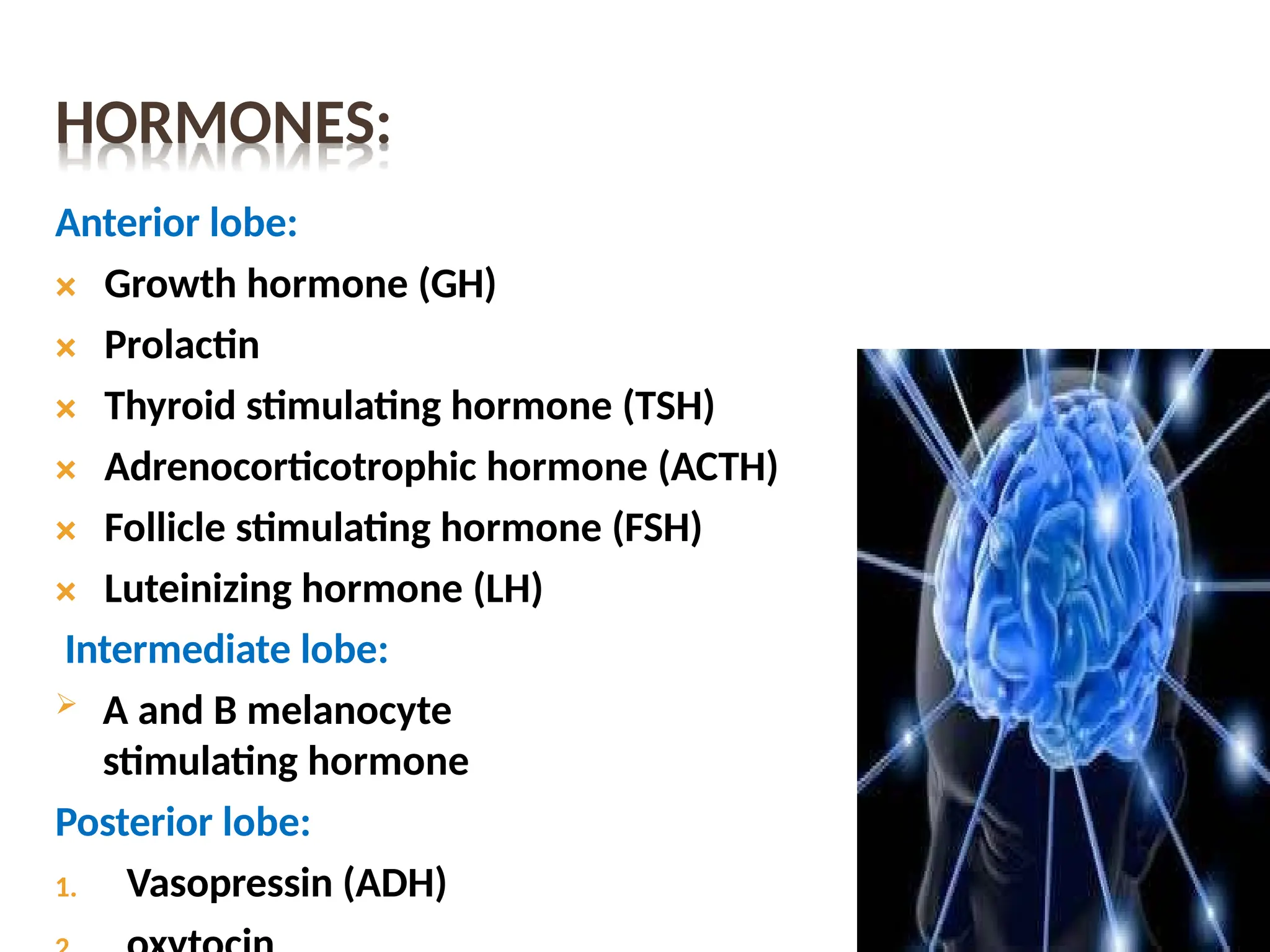 The Endocrine System: Hormones and Their Role in Body Regulation | PPTX
