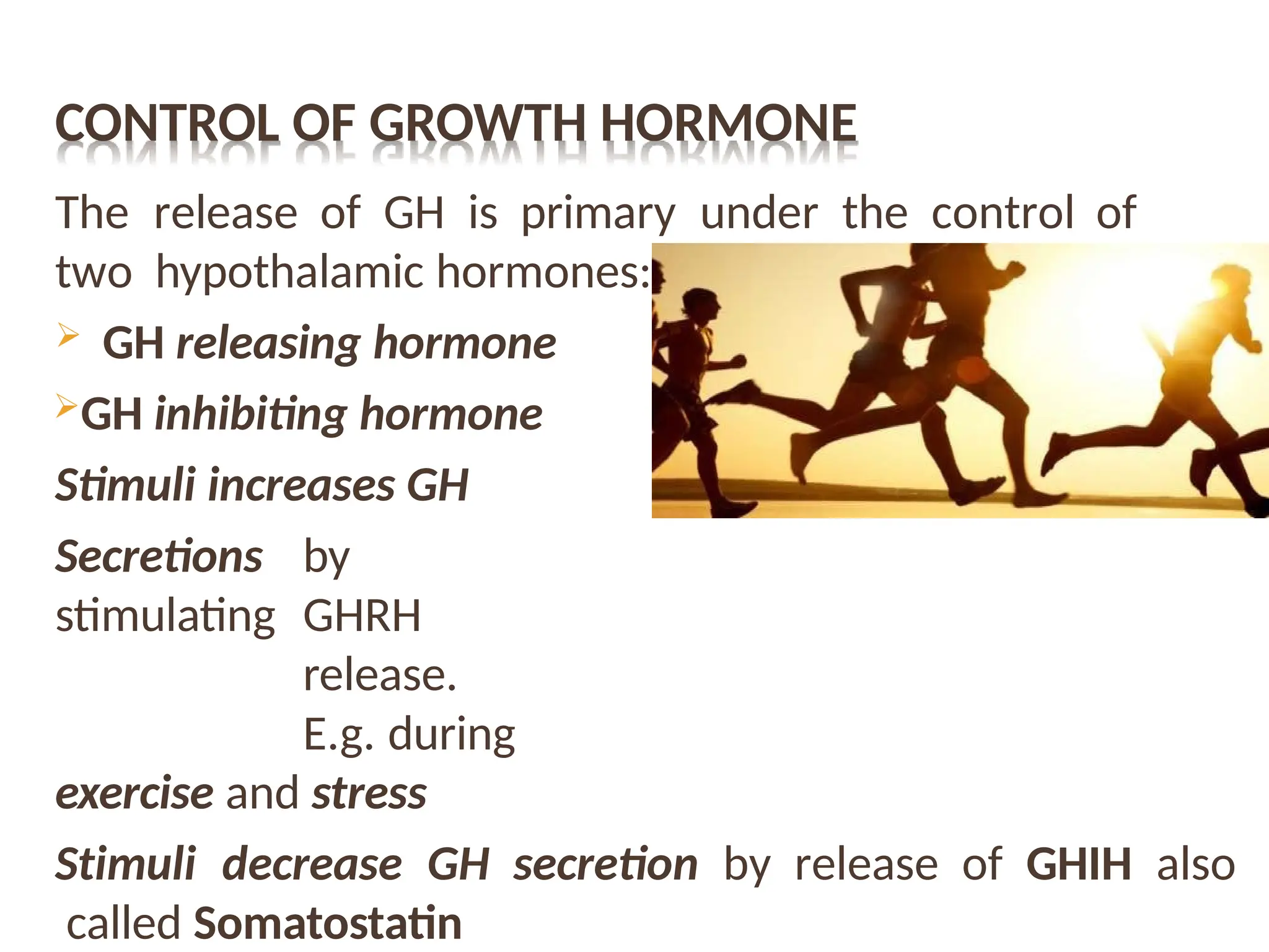 The Endocrine System: Hormones and Their Role in Body Regulation | PPTX