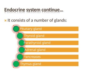 The Endocrine System: Hormones and Their Role in Body Regulation | PPTX