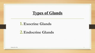 Endocrine System. pptx by Monika Devi NR | PPT