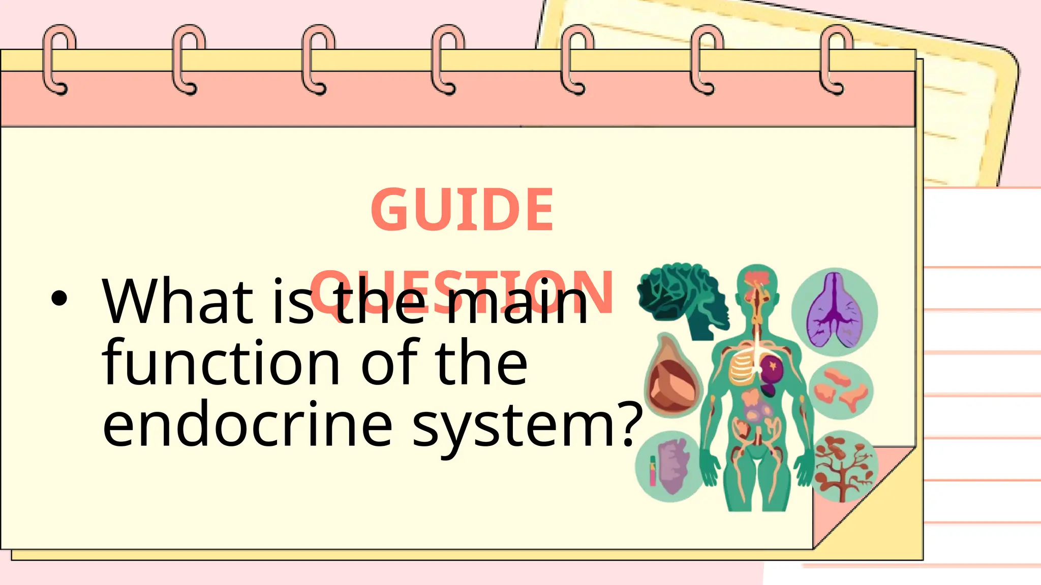 ENDOCRINE SYSTEM AND THE DIFFERENT GLANDS | PPT