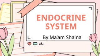 ENDOCRINE SYSTEM AND THE DIFFERENT GLANDS | PPTX