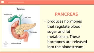 ENDOCRINE SYSTEM AND THE DIFFERENT GLANDS | PPTX
