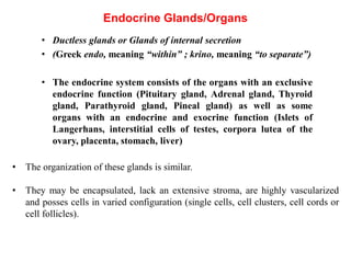 Endocrine system of animals (ox , horse ) | PDF