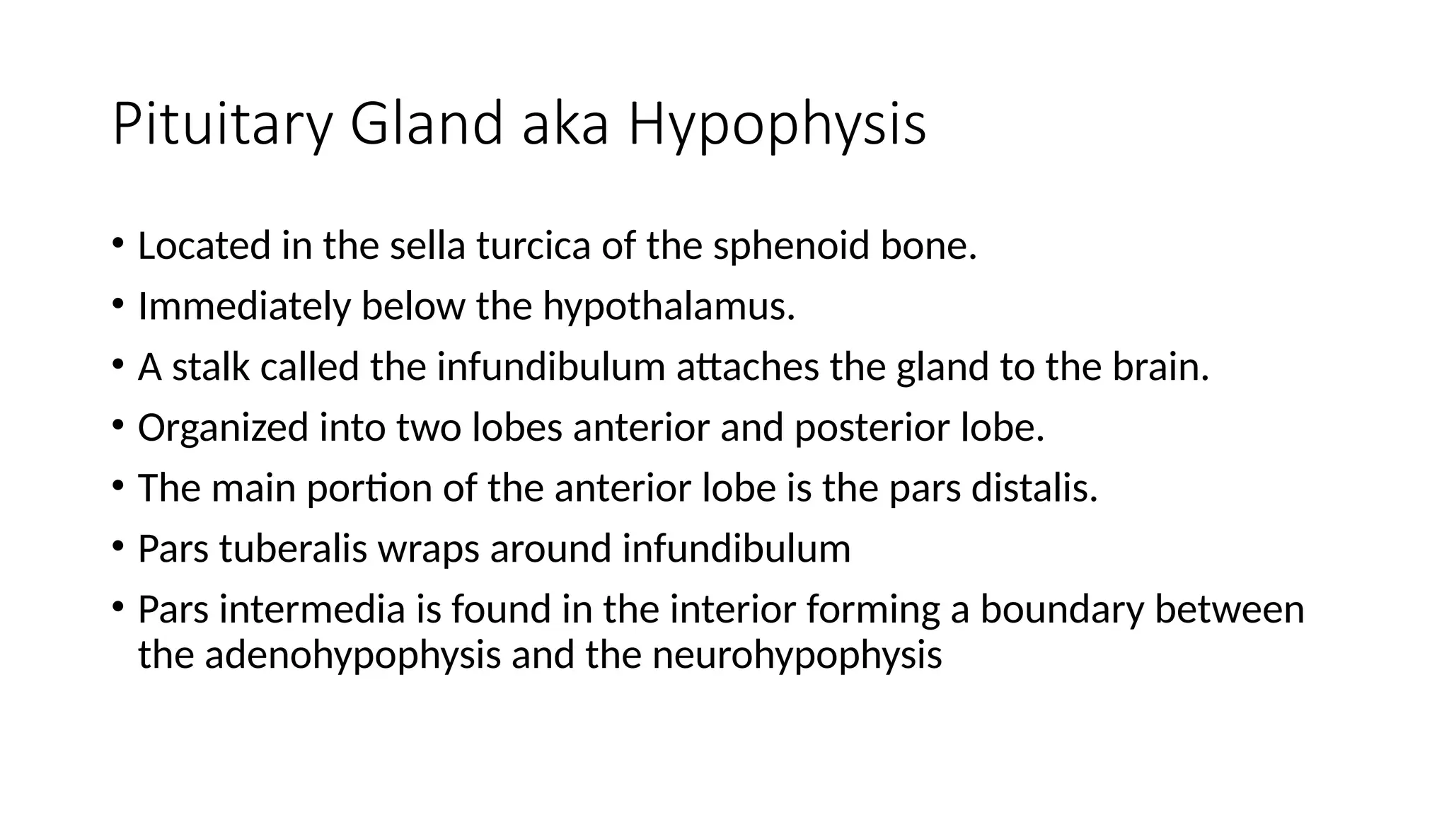 A presentation of The Endocrine System.pptx