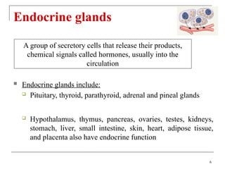 Endocrine System Physiology and different harmoes in human body. | PPTX