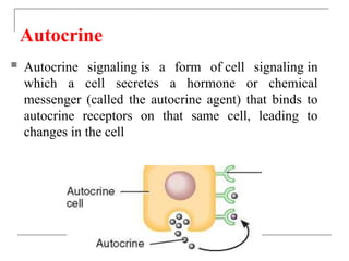 Endocrine System Physiology and different harmoes in human body. | PPTX