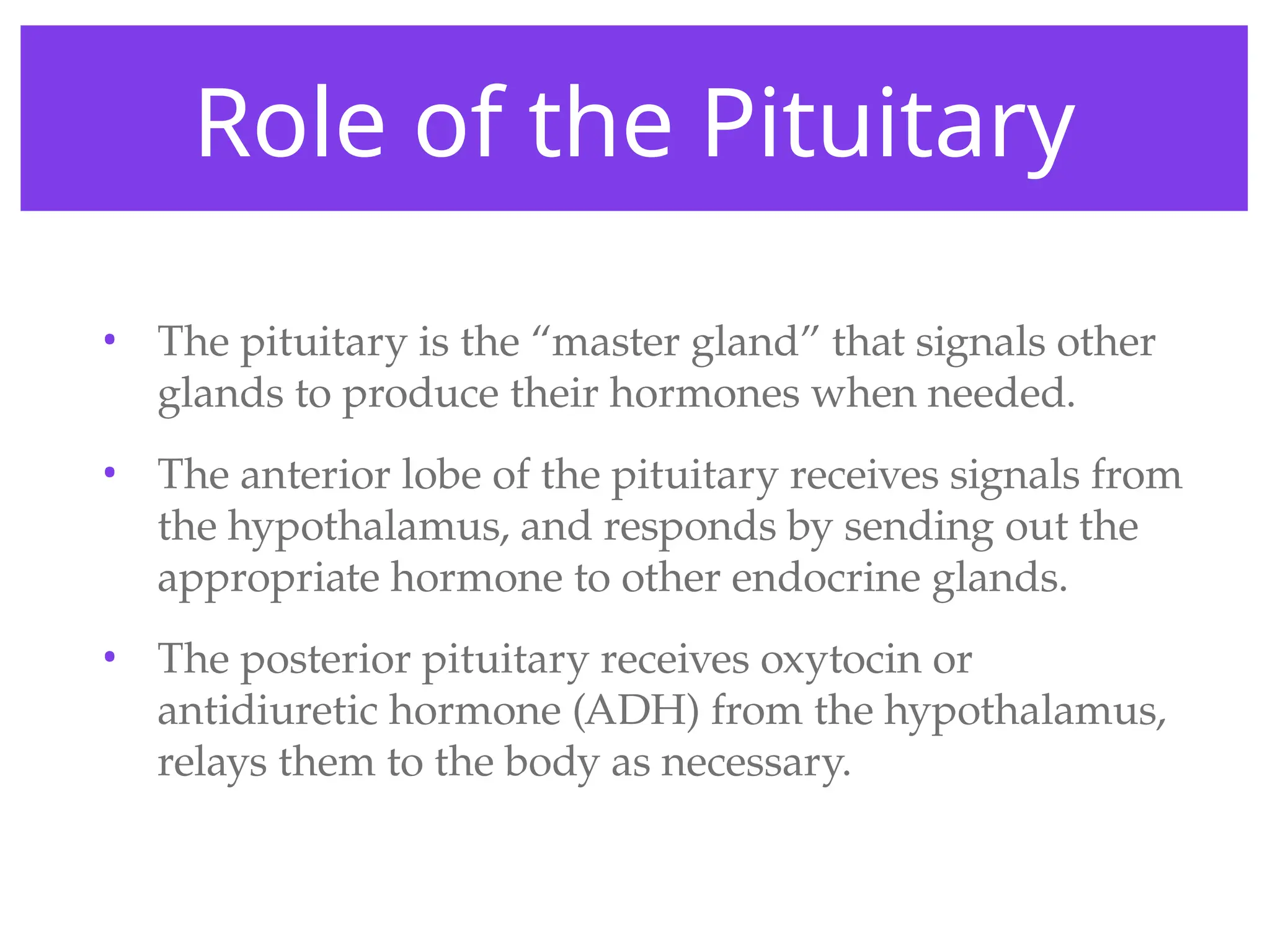 endocrine_system.ppt learn and practice.. | PPT