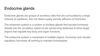 Comprehensive Overview of the Endocrine System and Hormonal Mechanisms ...