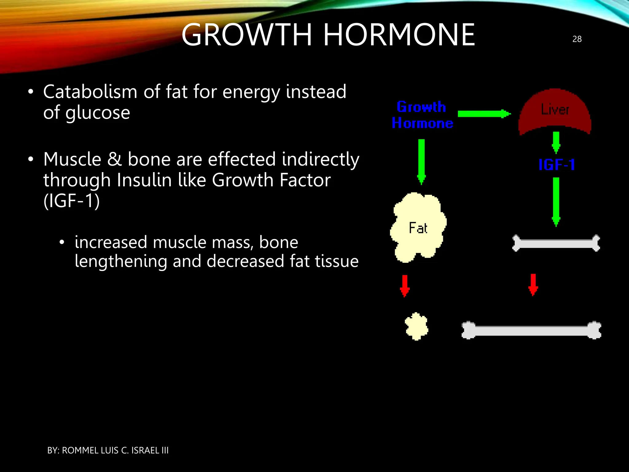 ENDOCRINE SYSTEM - ANATOMY AND PHYSIOLOGY | PPT
