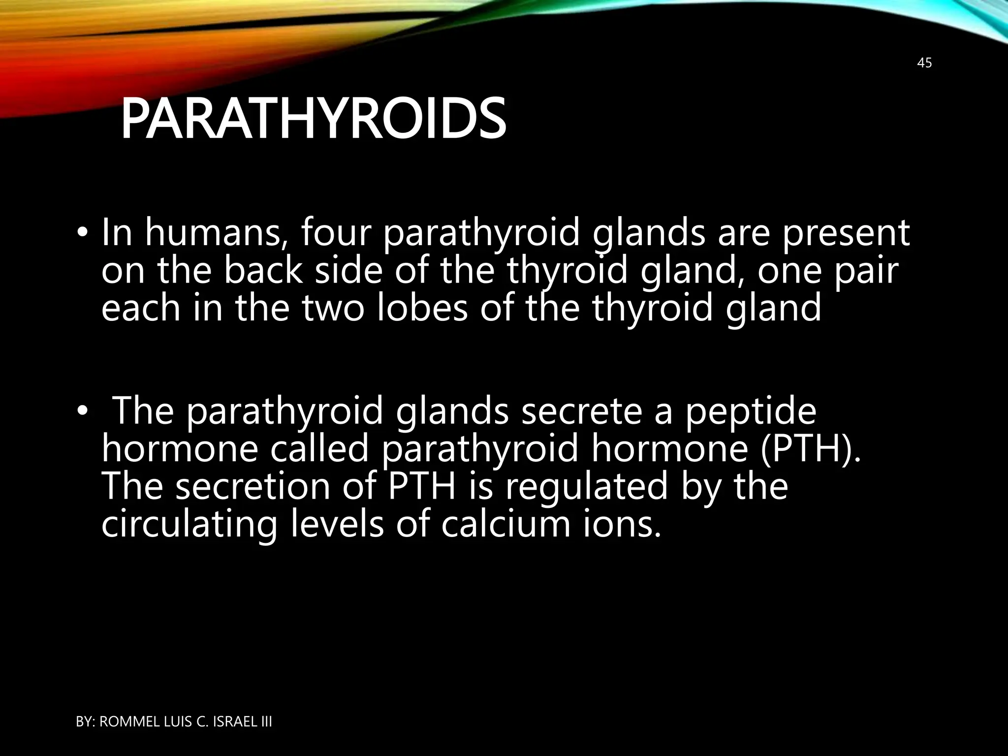 ENDOCRINE SYSTEM - ANATOMY AND PHYSIOLOGY | PPT