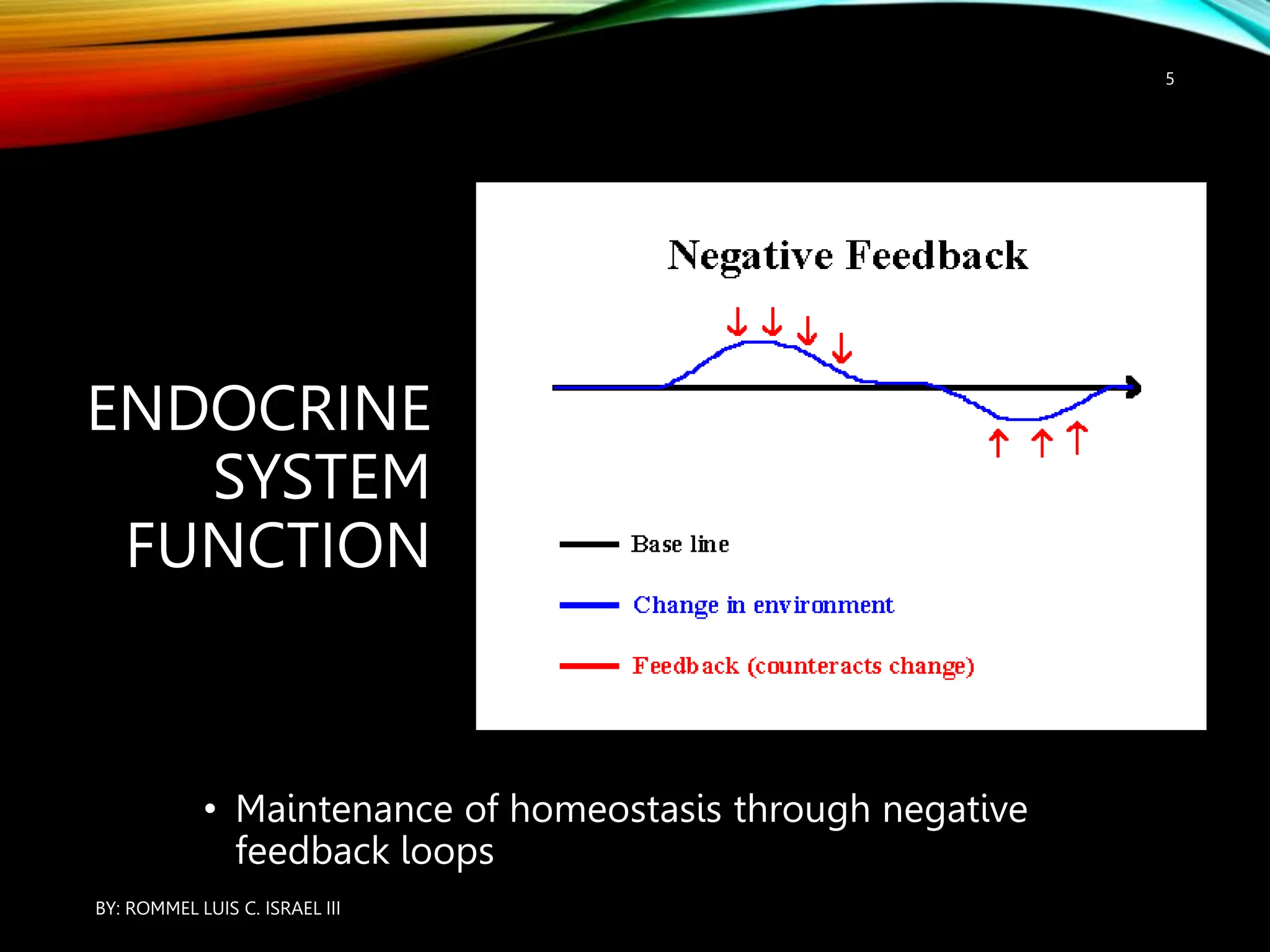 ENDOCRINE SYSTEM - ANATOMY AND PHYSIOLOGY | PPT